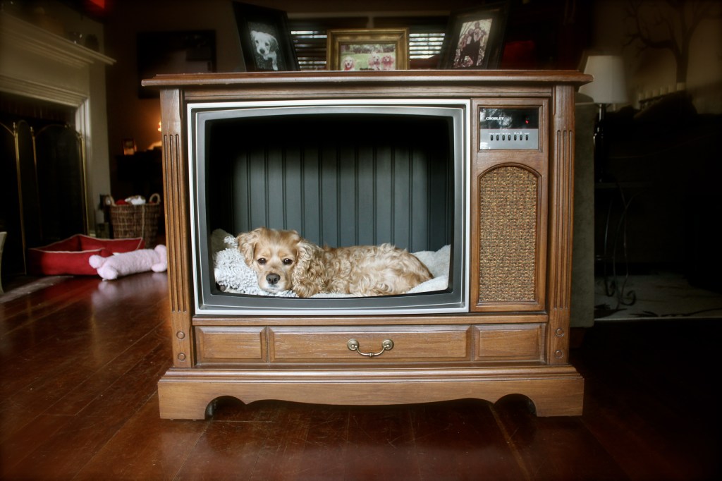 Upcycle an Old Console Tv – Celebrate Every Day