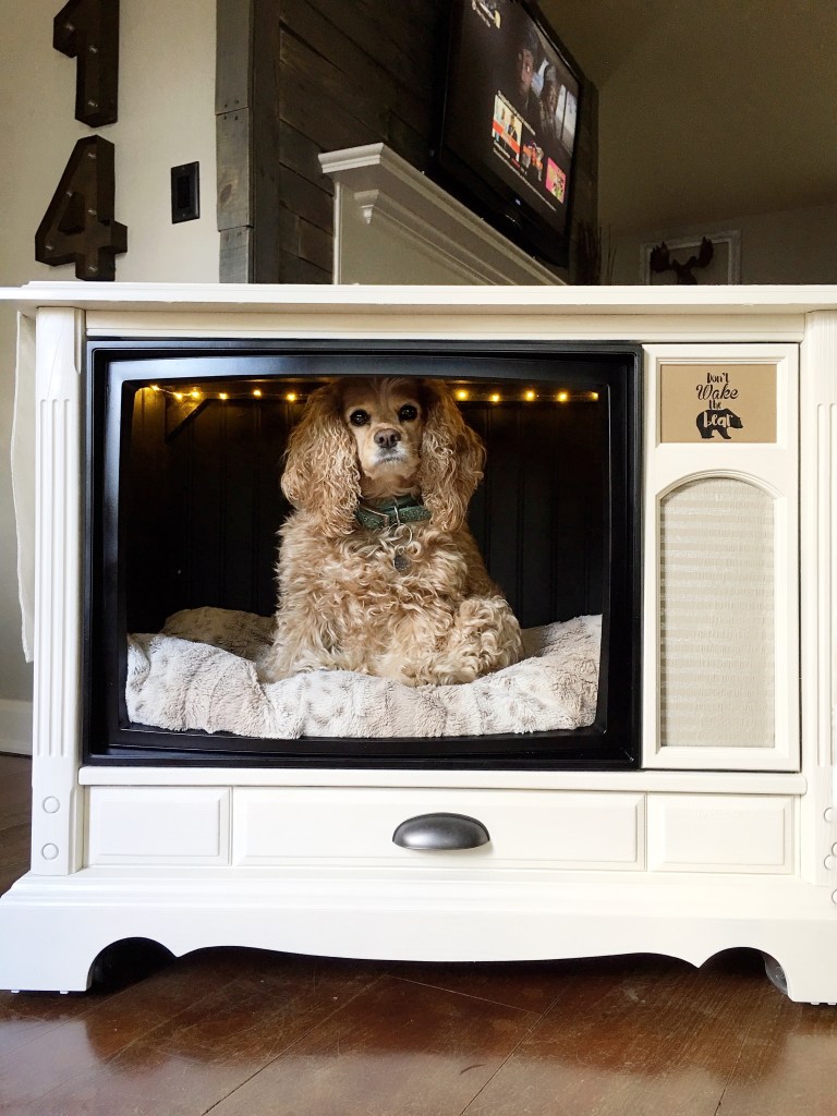 pUPdated Console TV Dog Bed – Celebrate Every Day